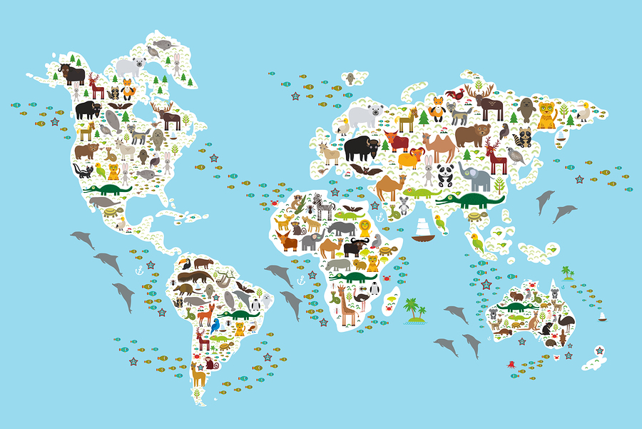 World Map Posters Kinds Styles And Interesting Designs World Map Posters Kinds Styles And Interesting Designs