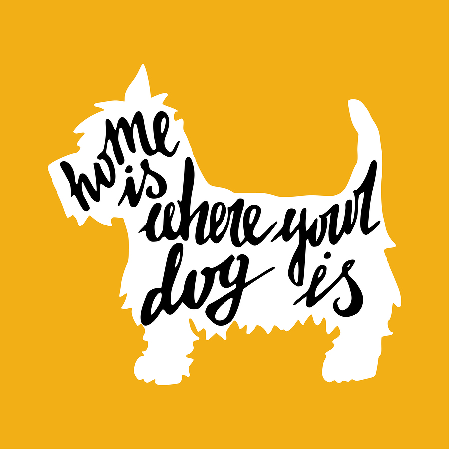 Dogs Posters Pictures And Other Kinds Of Wall Art PrintMePoster Blog